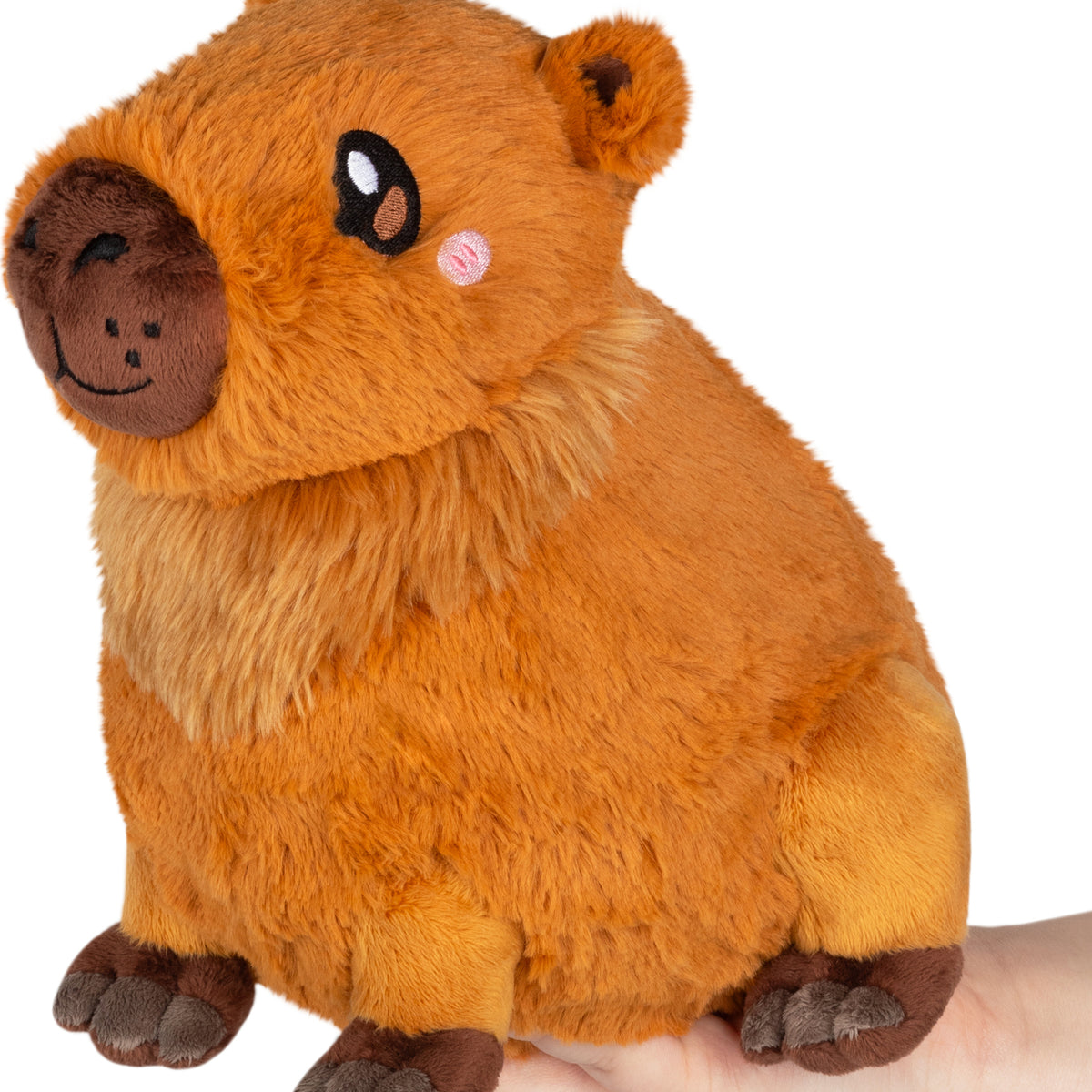 Mini Squishable Capybara – Dancing Bear Toys