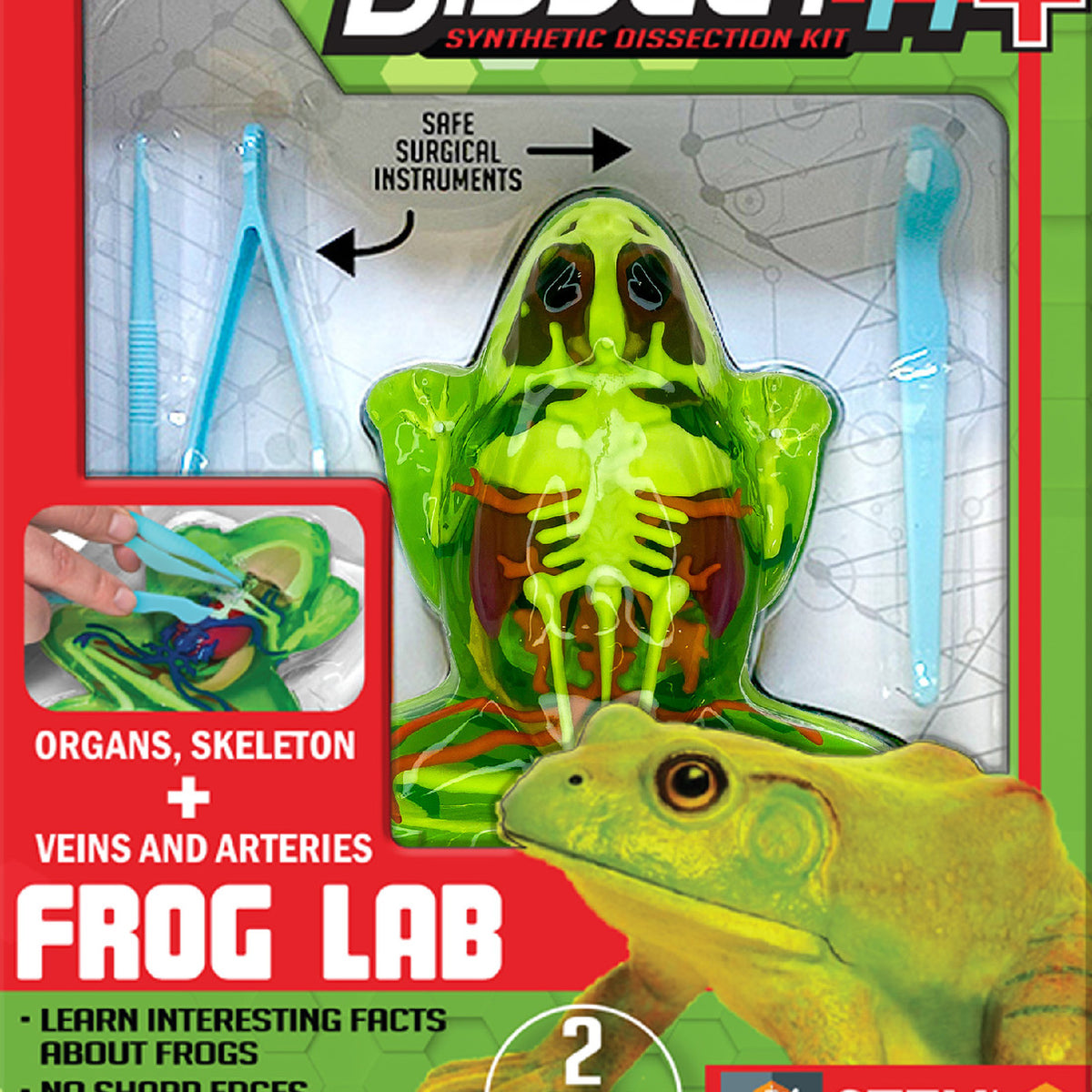 Dissect-It Frog Lab Plus – Dancing Bear Toys